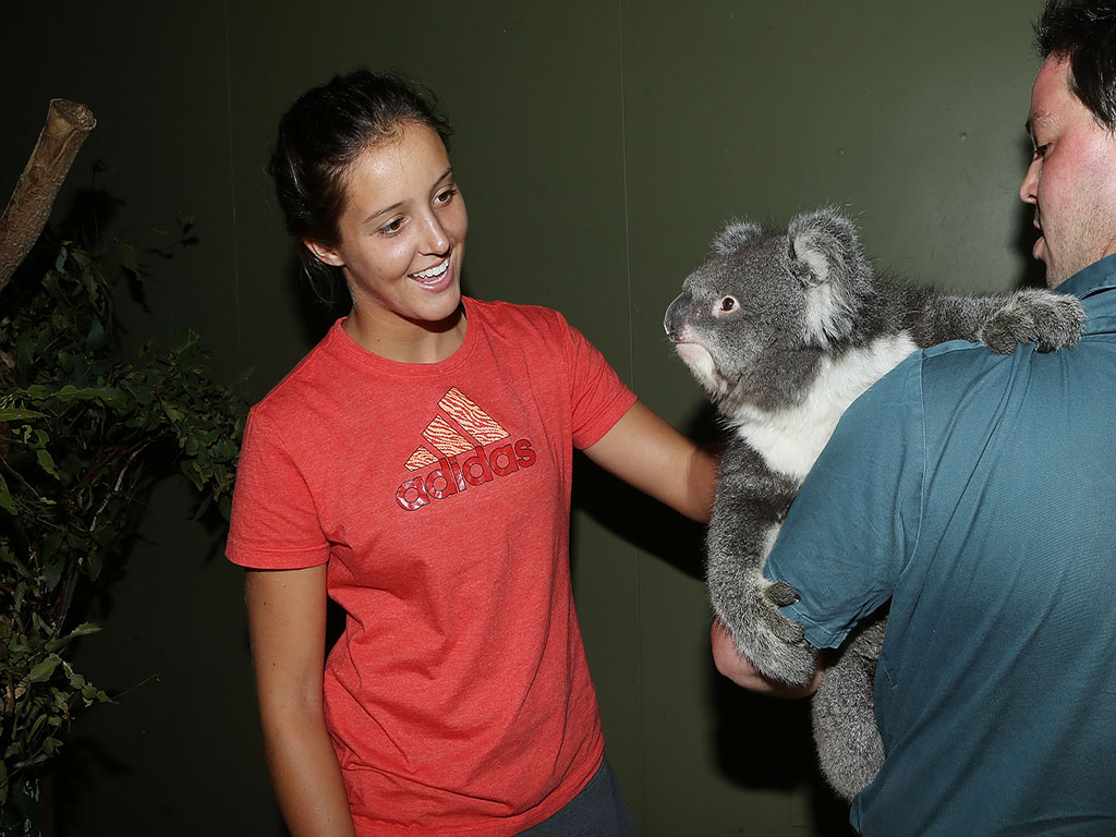 Laura Robson meets a Koala at Bonorong Wildlife Sanctuary | Hobart ...
